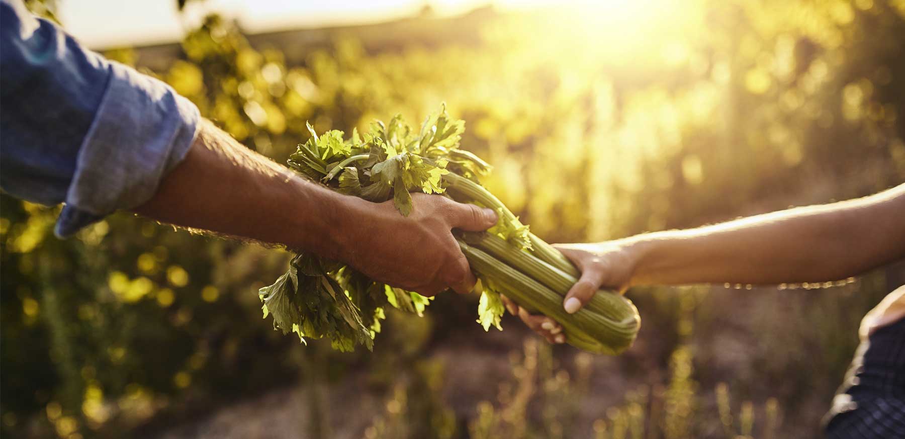 How to Start Your Own Multi-Family Compound