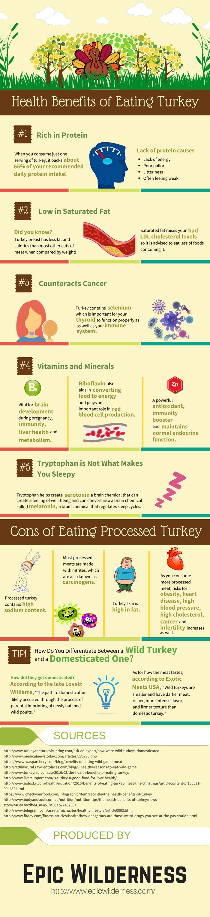 Infographic: The Health Benefits of Eating Wild Turkey