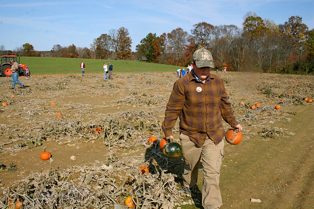 Picking the Perfect Pumpkins: A Guide to Heirloom Pumpkin Varieties