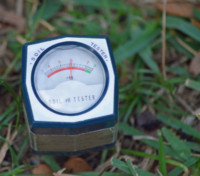 How to plant food plots: A step-by-step guide
