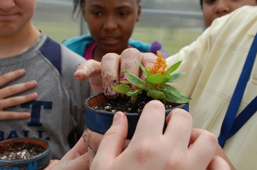 Agriculture Science class inspires 6th graders to go rural