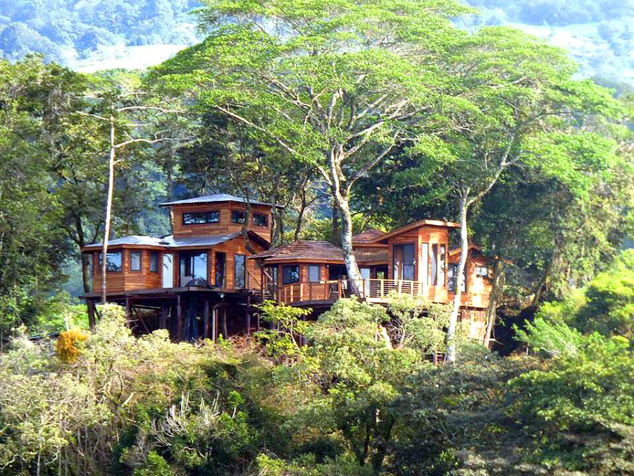 How to build your first treehouse