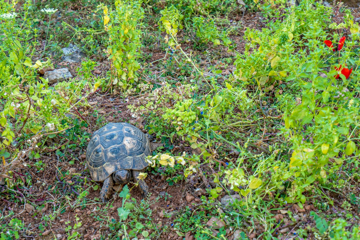 Here’s how to solve boggy problem areas on your land