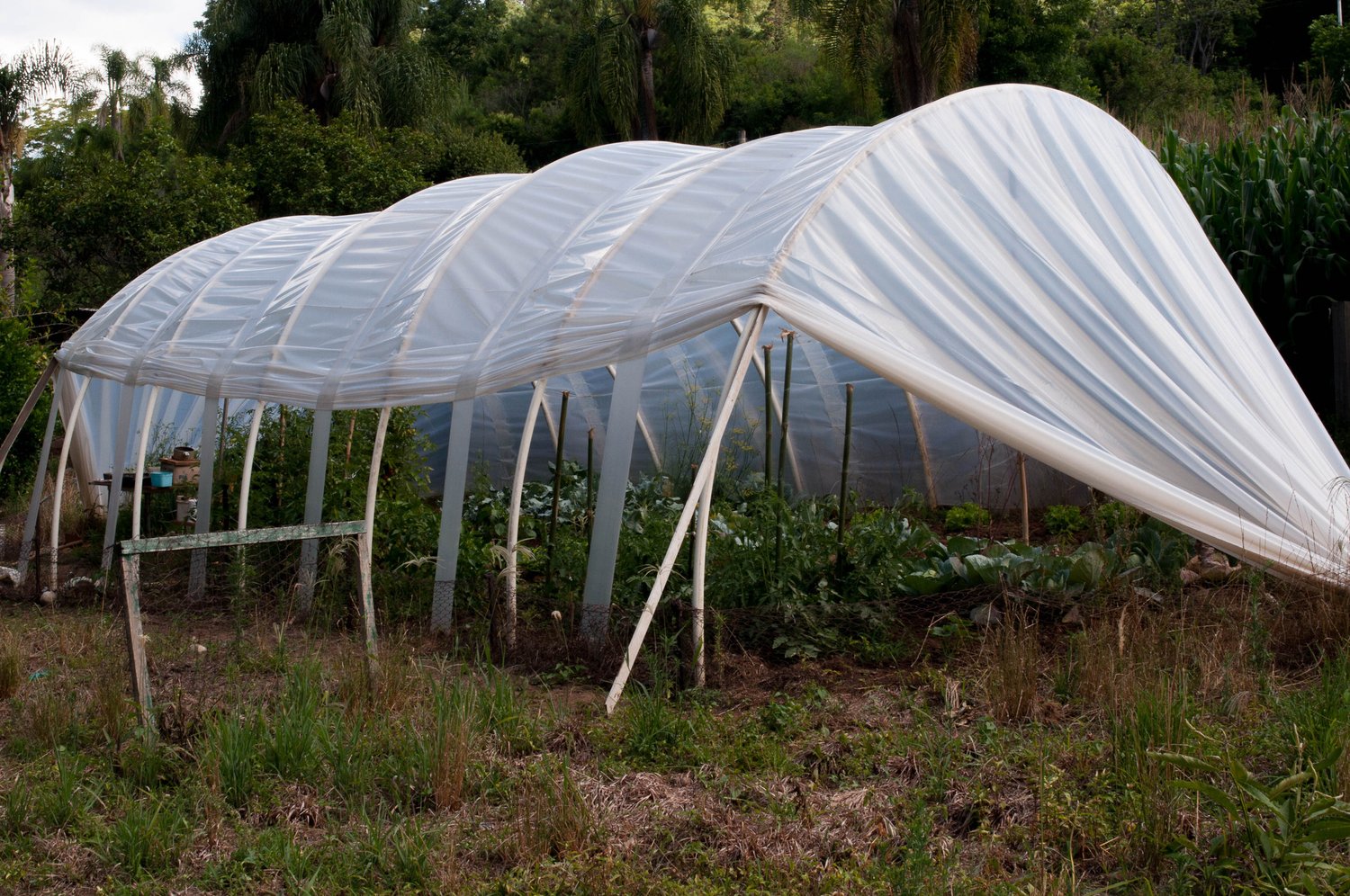 High Tunnels for Beginners, Homesteaders and Hobby Farmers