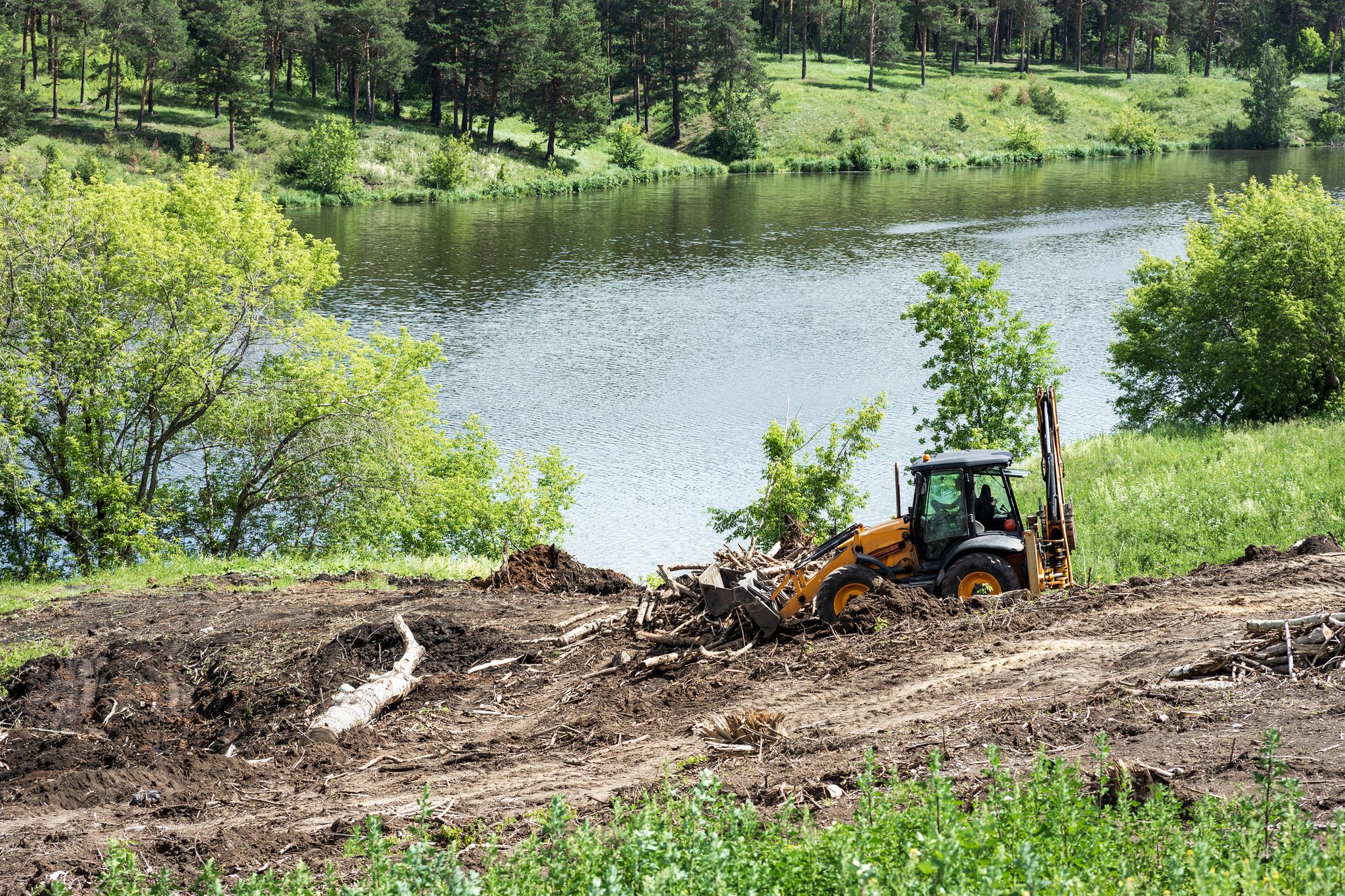 How to Transform Raw Land into a Homestead