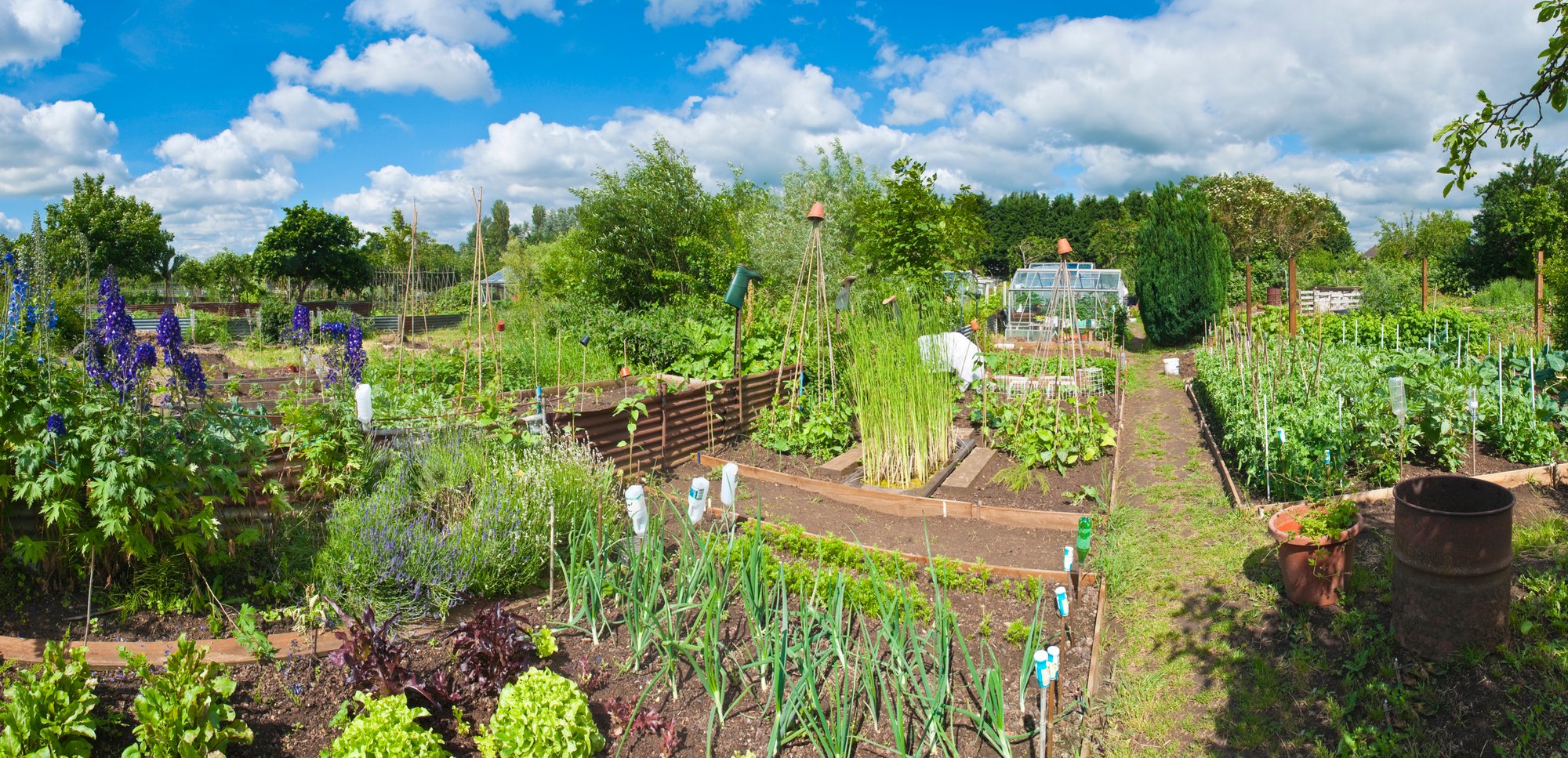 Digging Into Community Gardens: How they Work and How to Start One