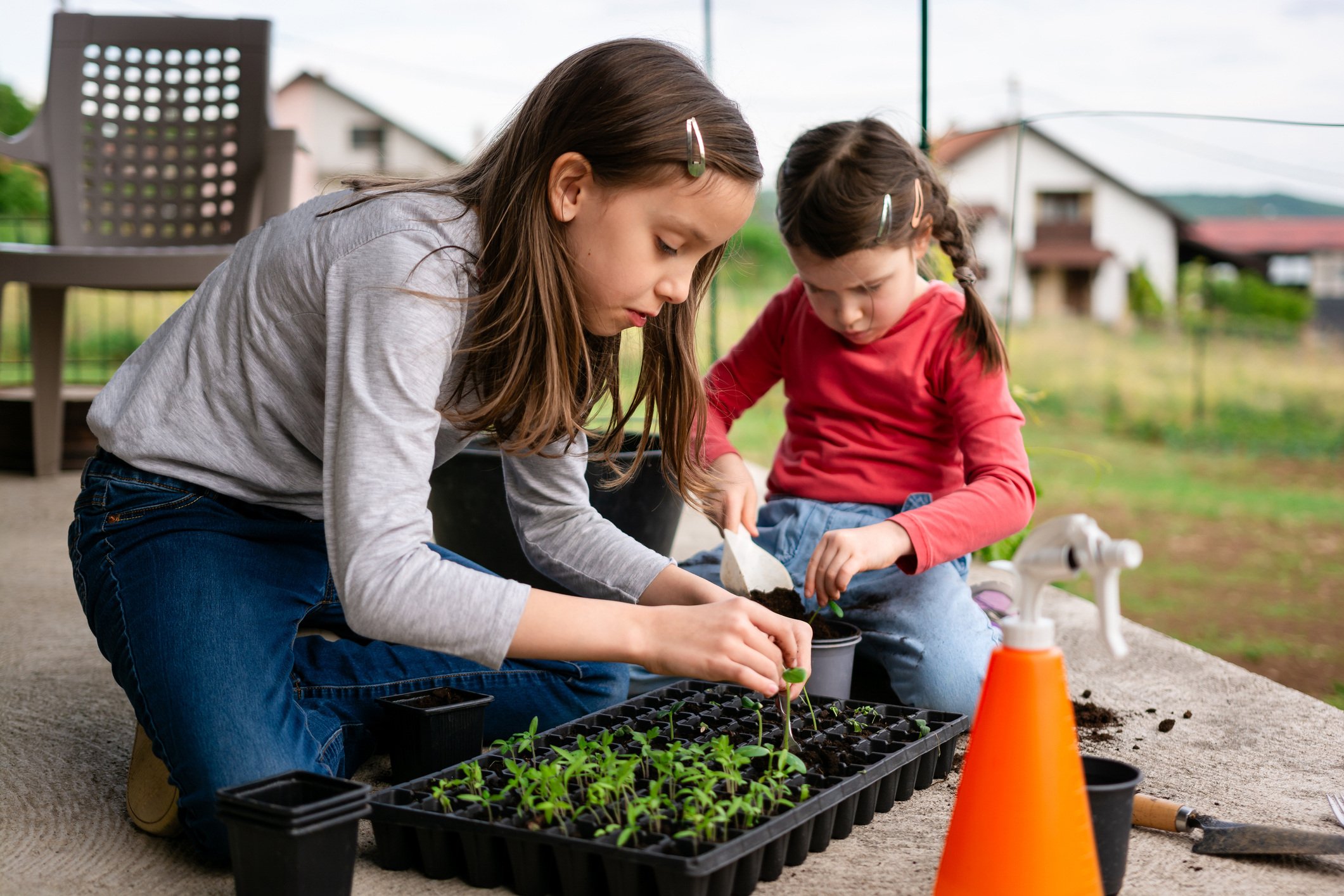 How To Start Seeds: Comparing 3 low-Waste Seed Starting Methods