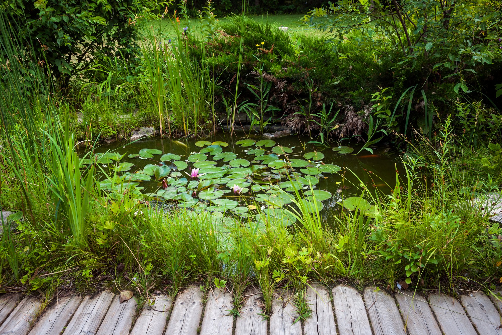Here’s how to solve boggy problem areas on your land