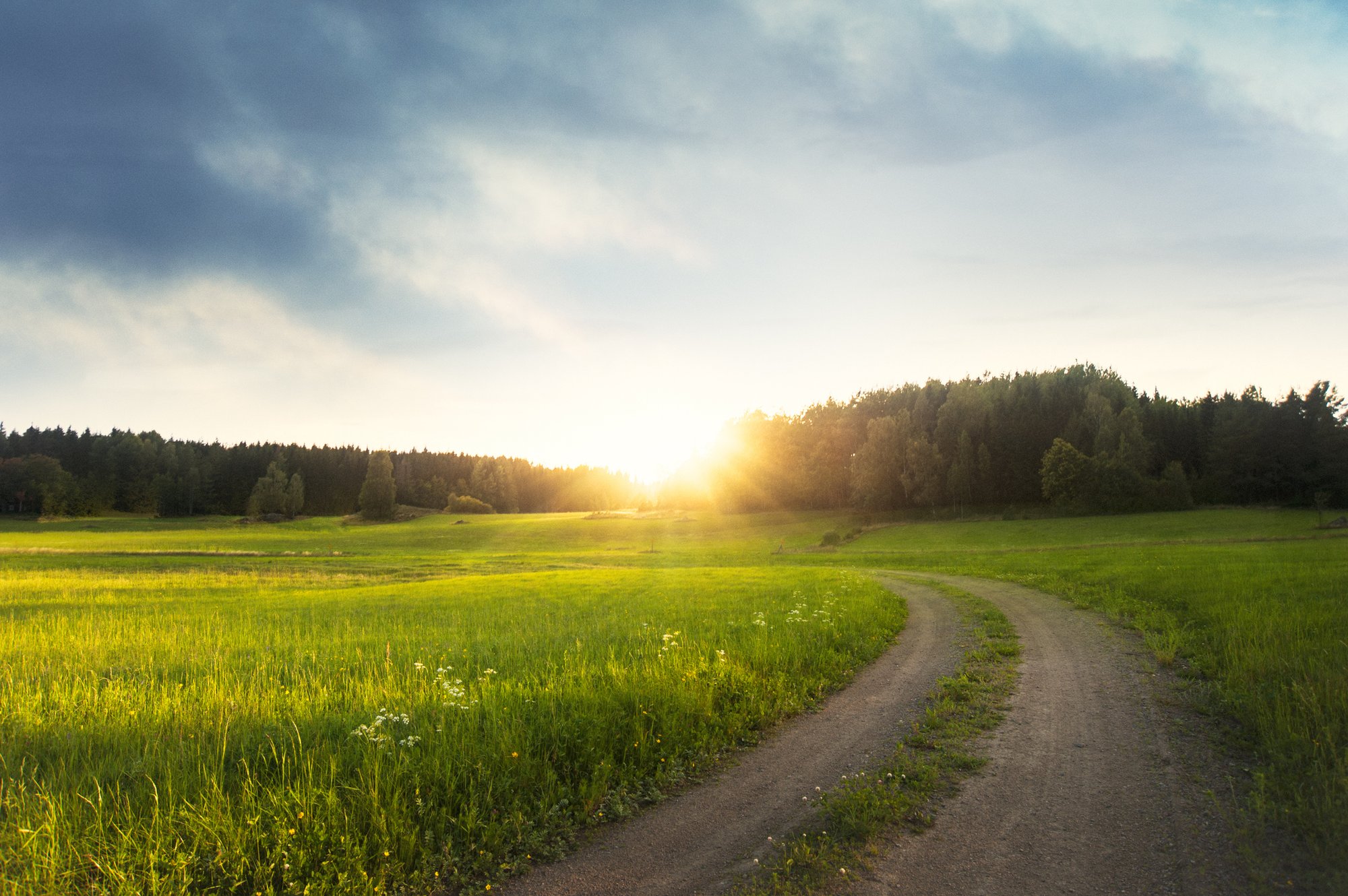 Why and How to Install a Gravel Driveway On Your Rural Land