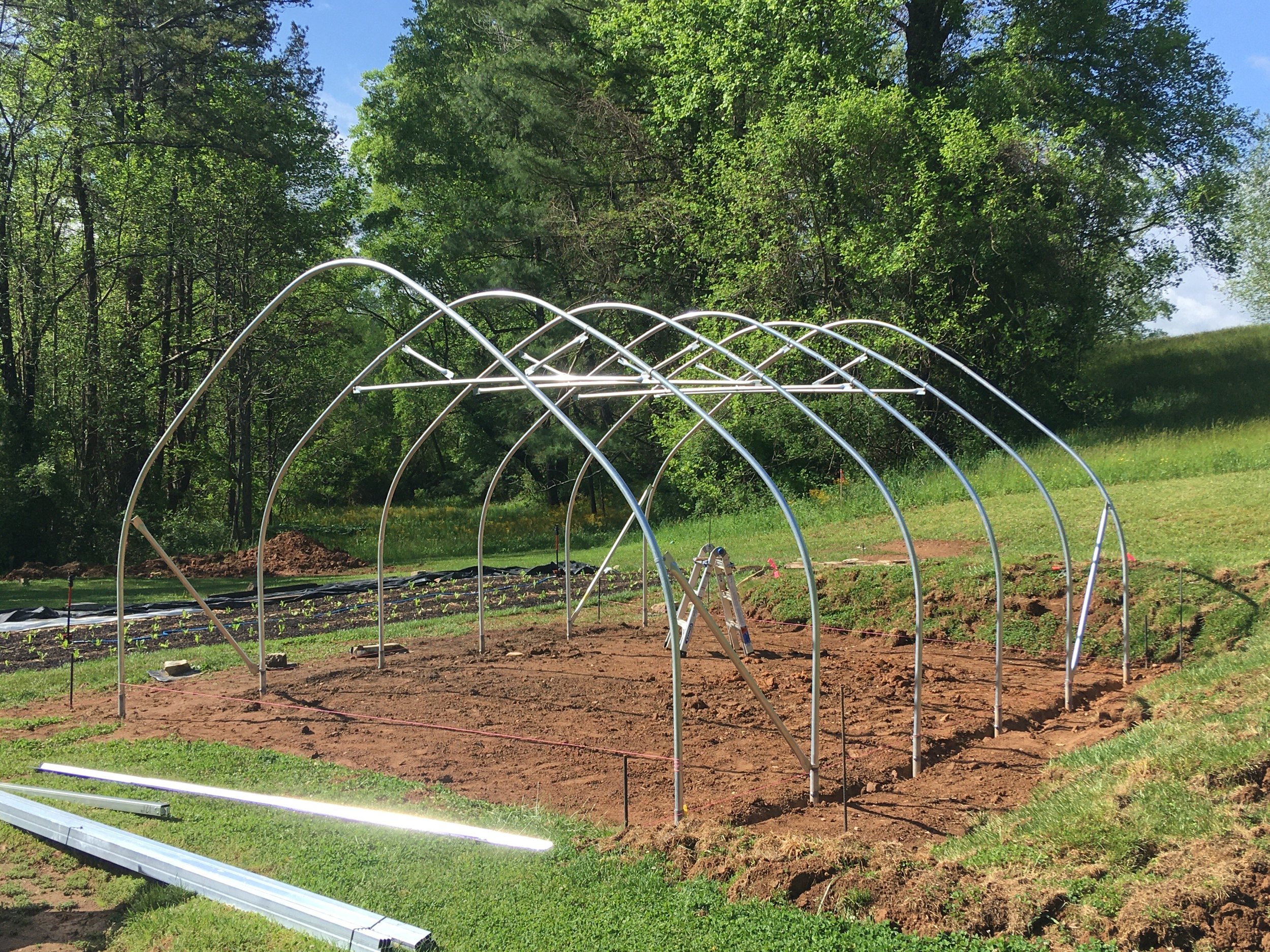 High Tunnels for Beginners, Homesteaders and Hobby Farmers