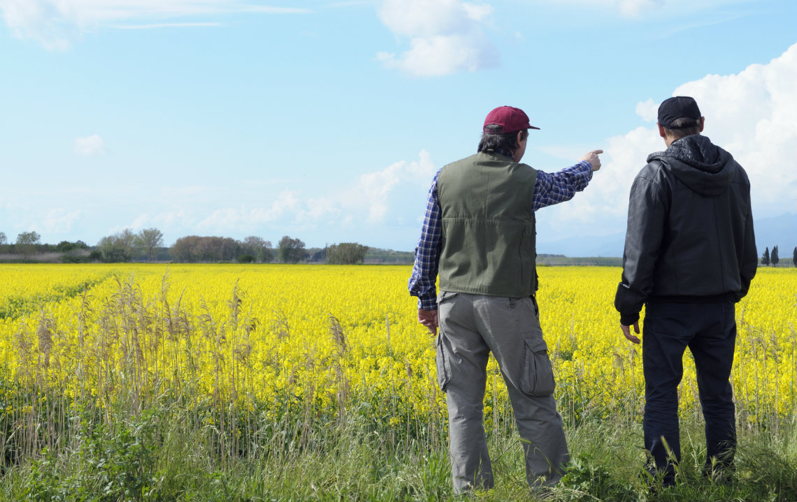 Why Hire a Land Agent Rather Than a Residential Realtor?